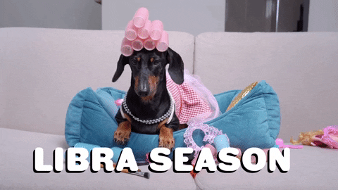 Libra GIFs - Get the best GIF on GIPHY