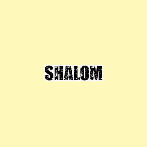 Shalom-jackie GIFs - Get the best GIF on GIPHY