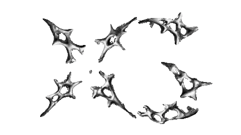 HOWLING GIFs on GIPHY - Be Animated