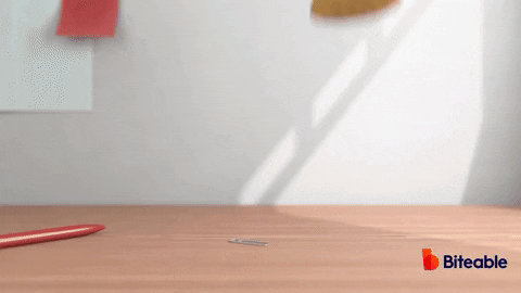 1St Place GIFs - Get the best GIF on GIPHY