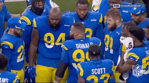 Every Wild GIF You Need To See From the NFC Championship Game! by ...