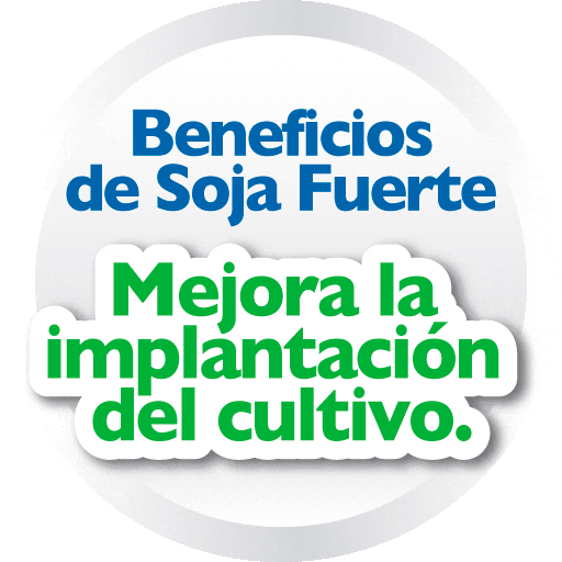 Soja Fuerte GIFs on GIPHY - Be Animated