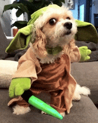 Dogs With Lightsabers Gif