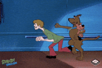 Scooby Doo And Shaggy Running