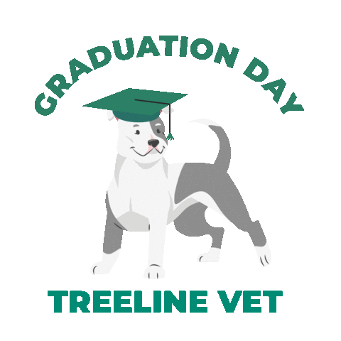 Treeline Vet GIFs on GIPHY - Be Animated