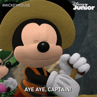 Aye Aye Captain Gif