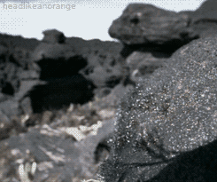 Pebble Toad GIF by Head Like an Orange - Find & Share on GIPHY