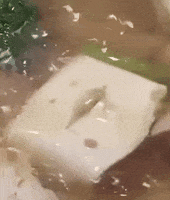 Tofu GIF - Find & Share on GIPHY