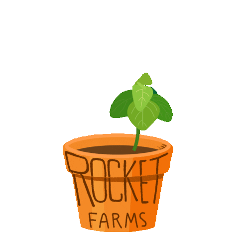 Rocket Farms GIFs on GIPHY - Be Animated
