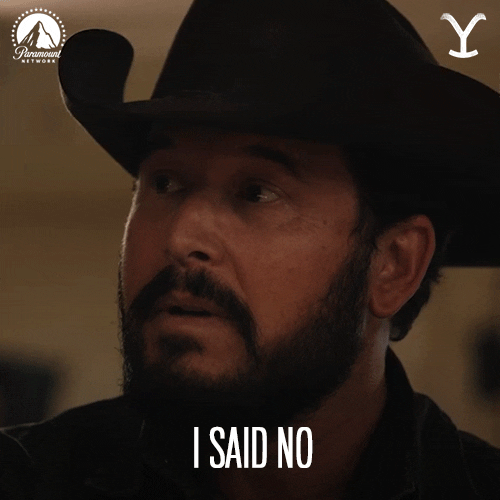 Paramount Network No GIF by Yellowstone - Find & Share on GIPHY