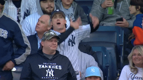 New York Yankees Baseball GIF by MLB - Find & Share on GIPHY
