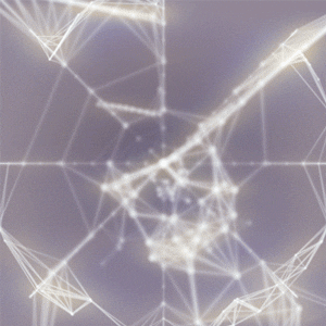 Spider Web Motion GIF by commotion.tv - Find & Share on GIPHY