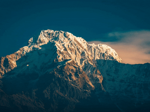 Sanctuary Hills GIFs - Get the best GIF on GIPHY