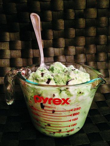 Mint-choc-chip GIFs - Get the best GIF on GIPHY