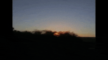 Driving Into The Sunset GIFs - Find & Share on GIPHY