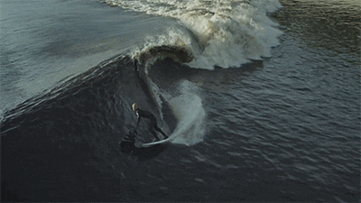 Surf Dude GIF by Digg - Find & Share on GIPHY