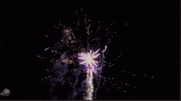 Fireworks Funny GIFs - Find & Share on GIPHY