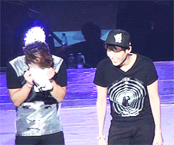 Lgjkdgnlfmsadg GIFs - Get the best GIF on GIPHY