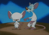 Pinky And The Brain Take Over The World Gif