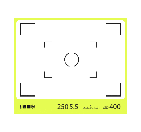 Photoshoot GIFs on GIPHY - Be Animated