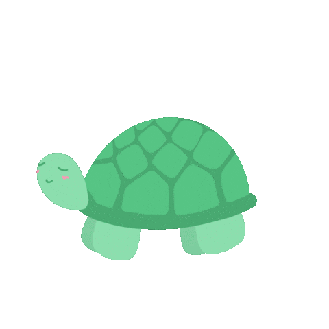 Slow Turtle Gif