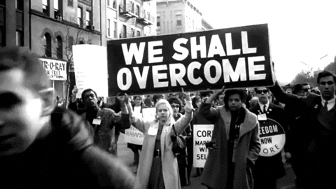 White-revolution GIFs - Get the best GIF on GIPHY