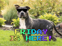 Happy Friday Dog Gif
