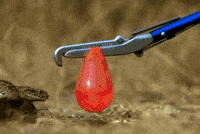 Gif De Smdh CU30 Photo Mode, Cross Play, And New Subclasses In 2025