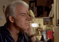 Steve Martin Gif