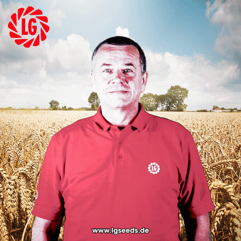 Erfreut GIFs - Find & Share on GIPHY