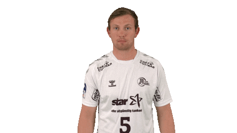 Handball-Bundesliga Logo Sticker by LIQUI MOLY HBL for iOS & Android ...