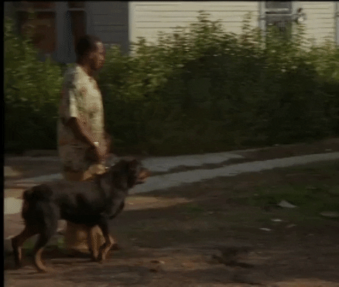 The Chronic GIF by Dr. Dre - Find & Share on GIPHY
