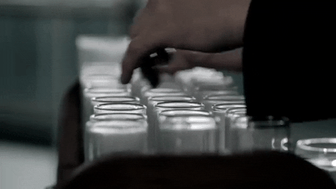 Weird Instruments GIFs - Get the best GIF on GIPHY