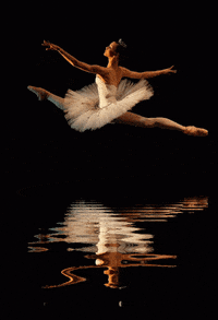 Ballet Dancers Gif