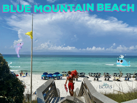 Blue-mountain-beach GIFs - Get the best GIF on GIPHY