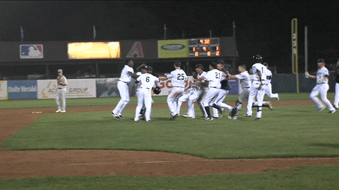 Happy Baseball GIF by Kane County Cougars - Find & Share on GIPHY