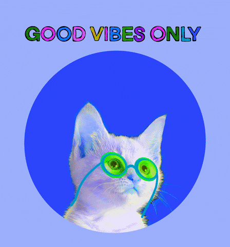 Crazy-monday GIFs - Get the best GIF on GIPHY