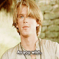 Liar Gif Princess Bride