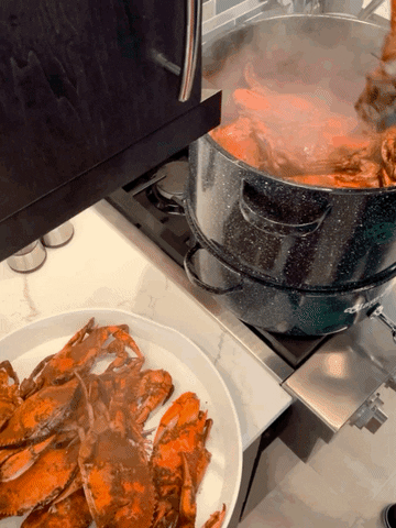 Seafood Crabs GIF by The Crab Place - Find & Share on GIPHY