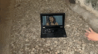 Throwing Laptop Gif