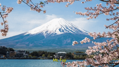 Mt Fuji Japan GIF by ATARASHII GAKKO! - Find & Share on GIPHY