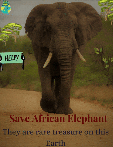 Save-the-forests GIFs - Get the best GIF on GIPHY