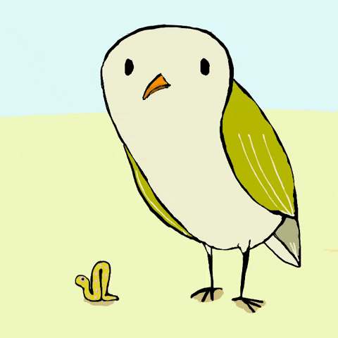 Early Bird GIFs - Get the best GIF on GIPHY