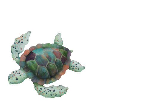 Sea Turtle Gif