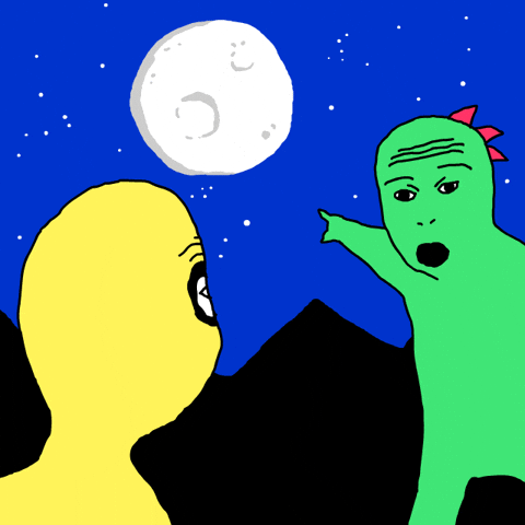 NEW Lizard Party by Nicky Rojo | GIPHY