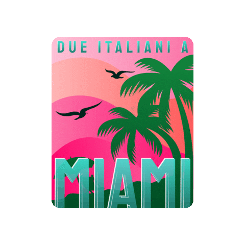 Miami GIFs on GIPHY - Be Animated