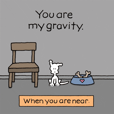 Gravity-dog GIFs - Get the best GIF on GIPHY