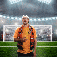 World-cup-netherlands GIFs - Get the best GIF on GIPHY