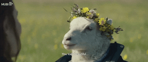 LAMB GIFs on GIPHY - Be Animated