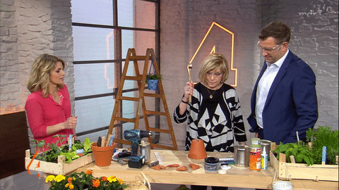 Mary Roos Schlager GIF by Mitteldeutscher Rundfunk - Find & Share on GIPHY